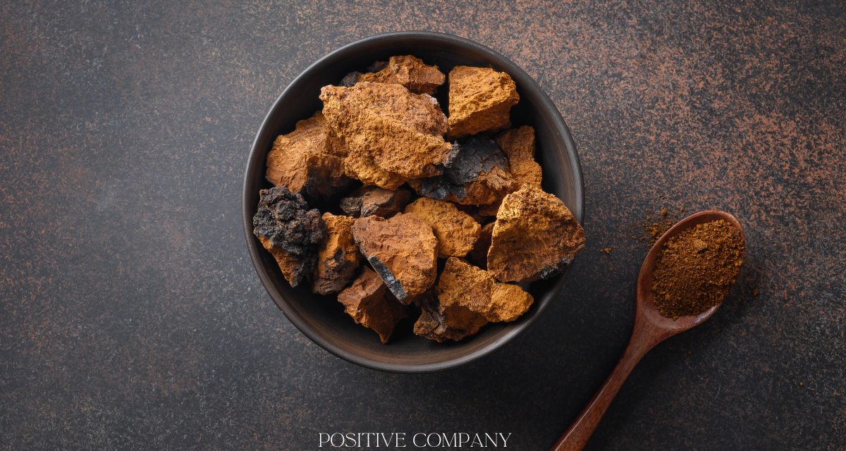 Easy Chaga Mushroom Recipe – The Positive Company
