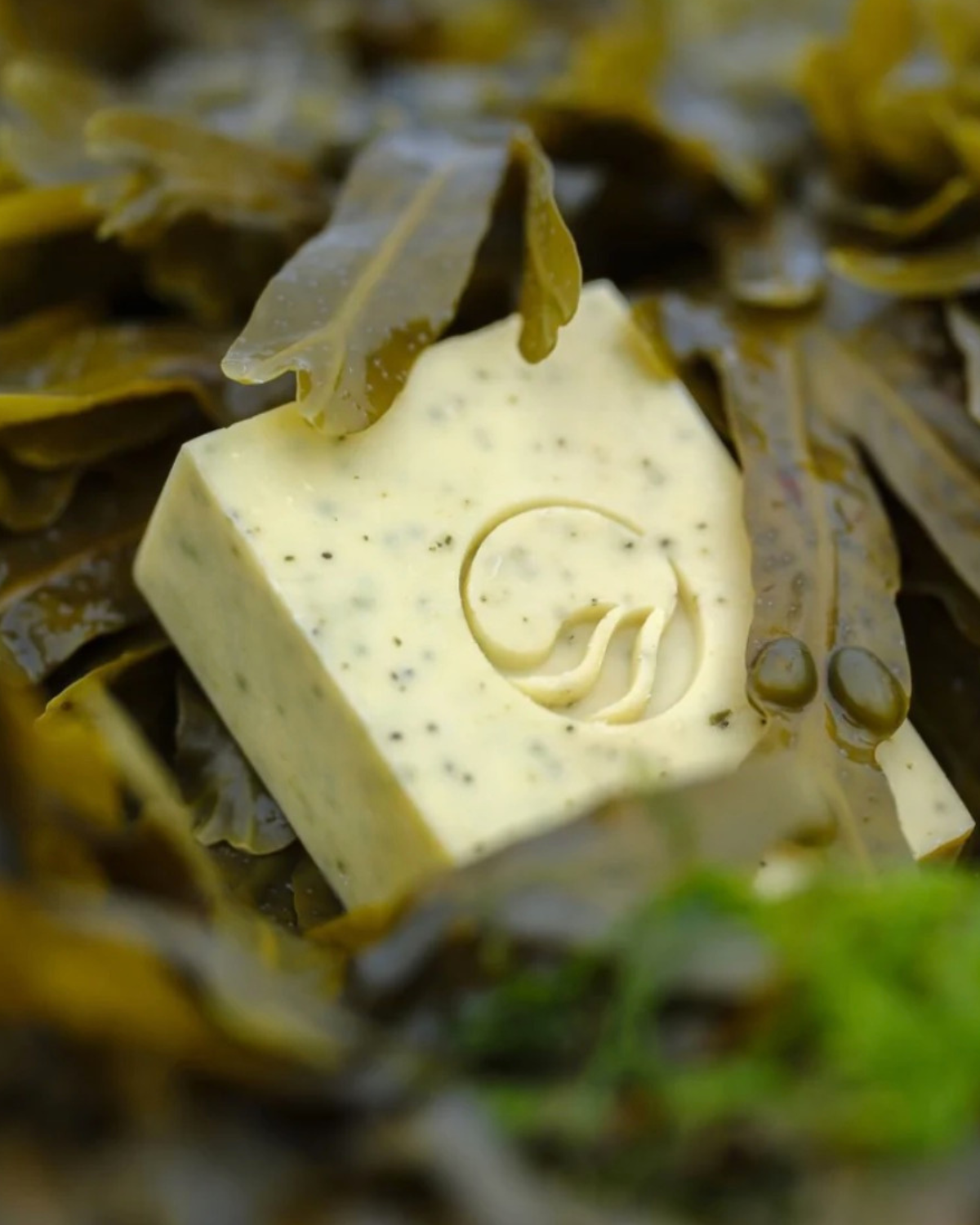 Exfoliating Seaweed Soap Bar | NATURAL SOAPS UK – The Positive Company