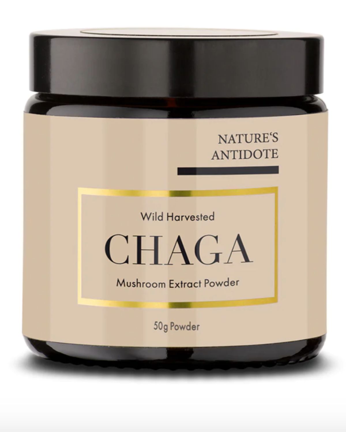 Organic Chaga Mushroom Powder - The Positive Company